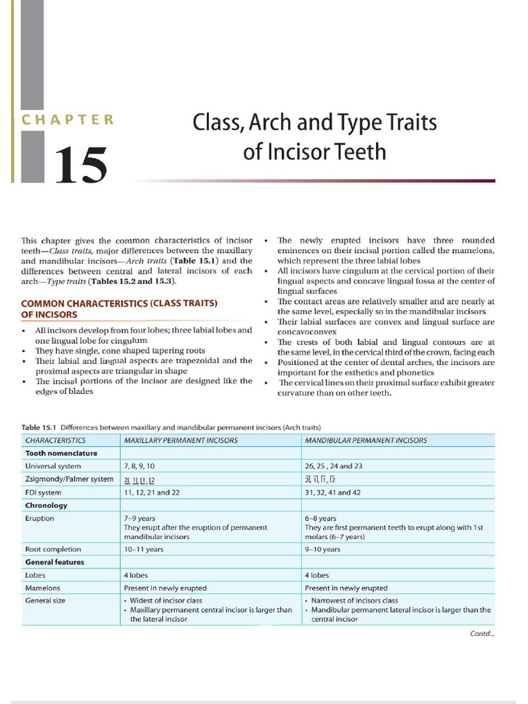 Class, Type, Arch Traits-1 | PDF