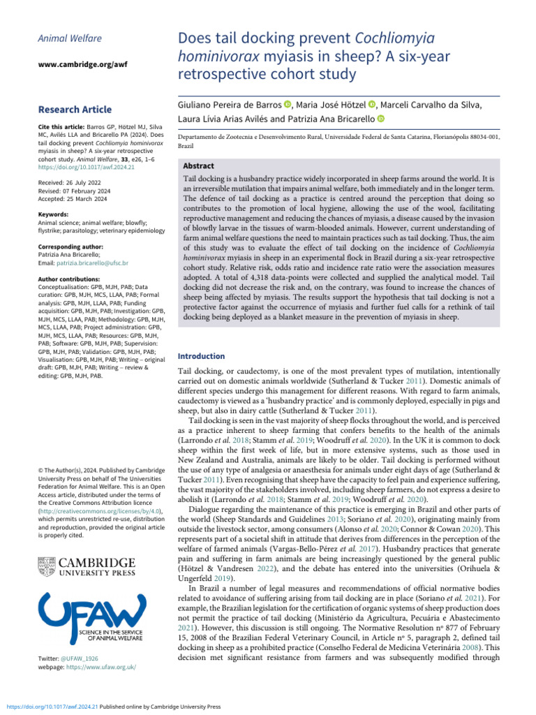 Does Tail Docking Prevent Cochliomyia Hominivorax Myiasis in Sheep A ...