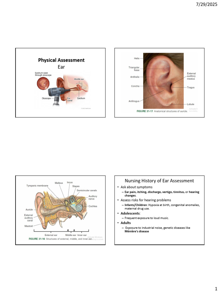 Physical Assessment 5 Ear, Nose, Mouth Sujith | PDF | Ear | Human Nose