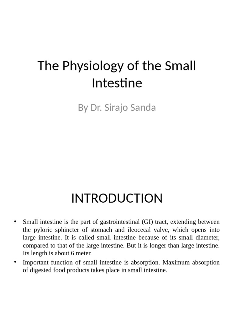 Physiology of the Small Intestine Explained | PDF | Small Intestine ...