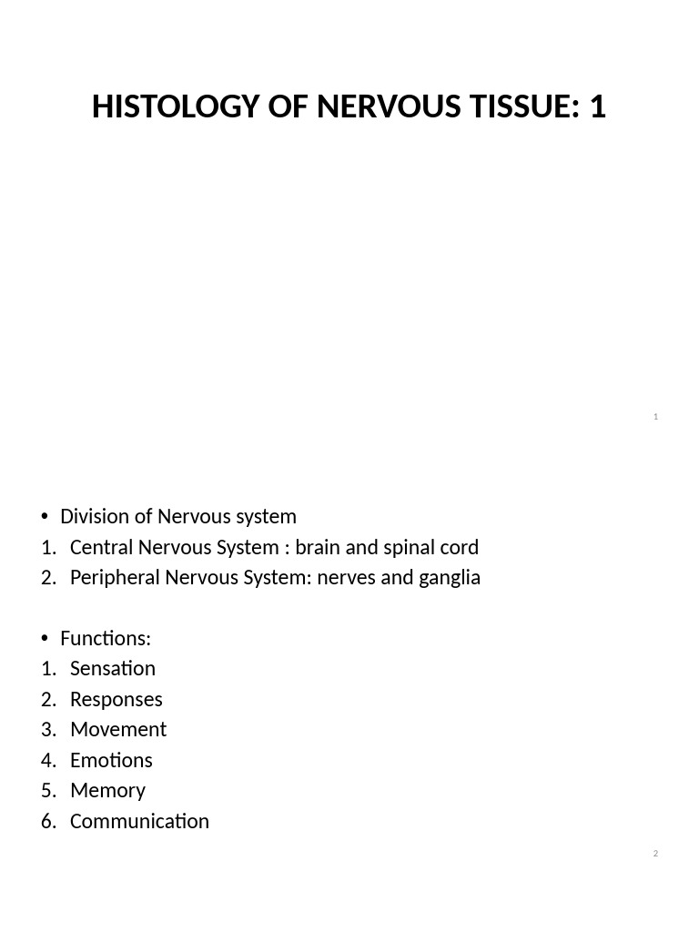 Histology of Nervous Tissue 1 | PDF | Neuron | Axon