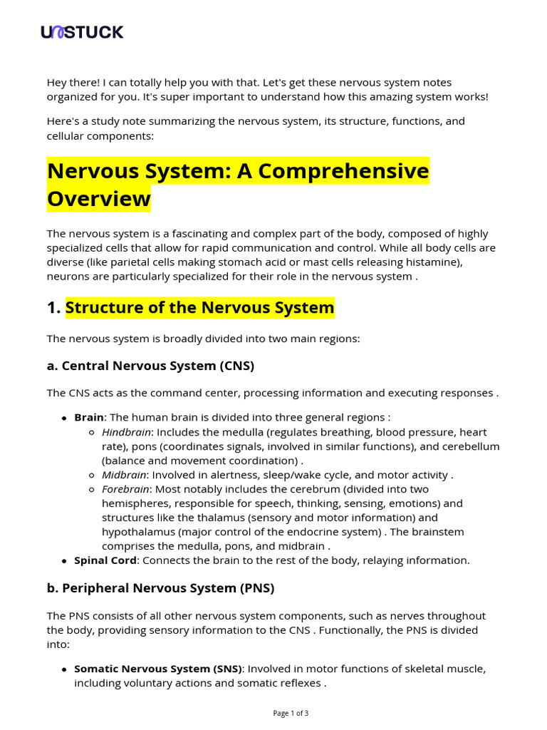 Nervous System Notes - Anatomy & Physiology | PDF | Central Nervous ...