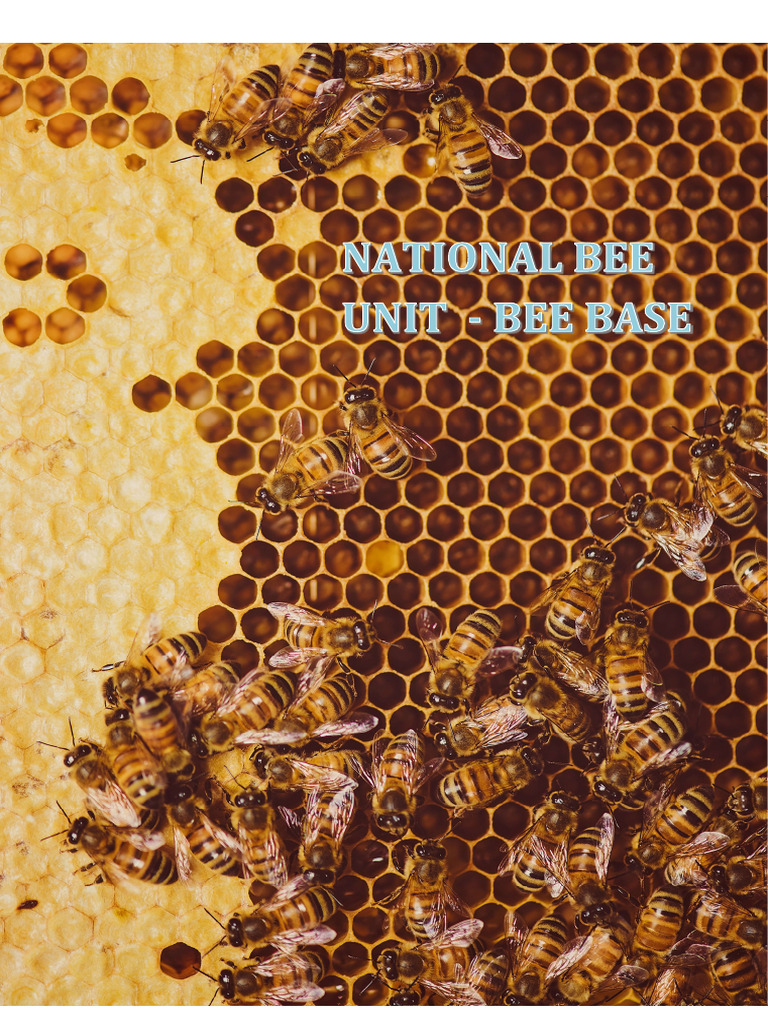 Broszura Dezynfekcja BeeBase PL | PDF