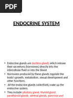 Endocrine System Worksheet | PDF | Endocrine System | Hormone