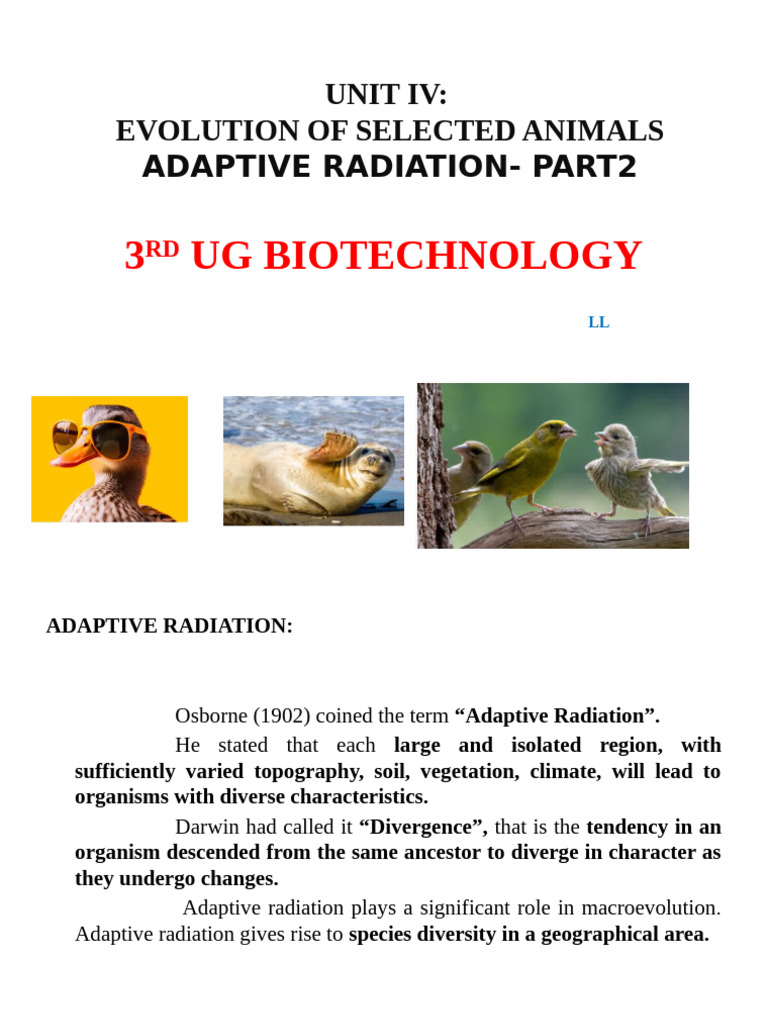 Adaptive Radiation in Mammals | PDF | Terrestrial Locomotion | Mammals