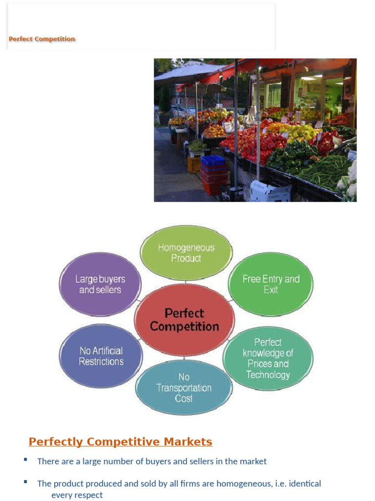 Understanding Perfect Competition Dynamics | PDF | Perfect Competition ...
