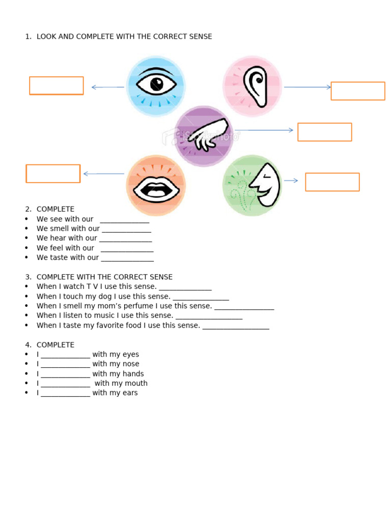 Complete the Senses Activity Worksheet | PDF