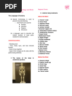 Topographic Anatomy | PDF | Anatomical Terms Of Motion | Anatomical ...