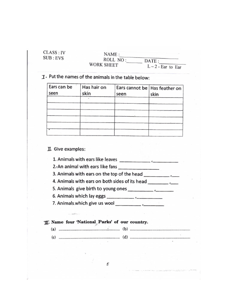 CBSE Class 4 EVS Revision Worksheet (16) - Ear To Ear | PDF