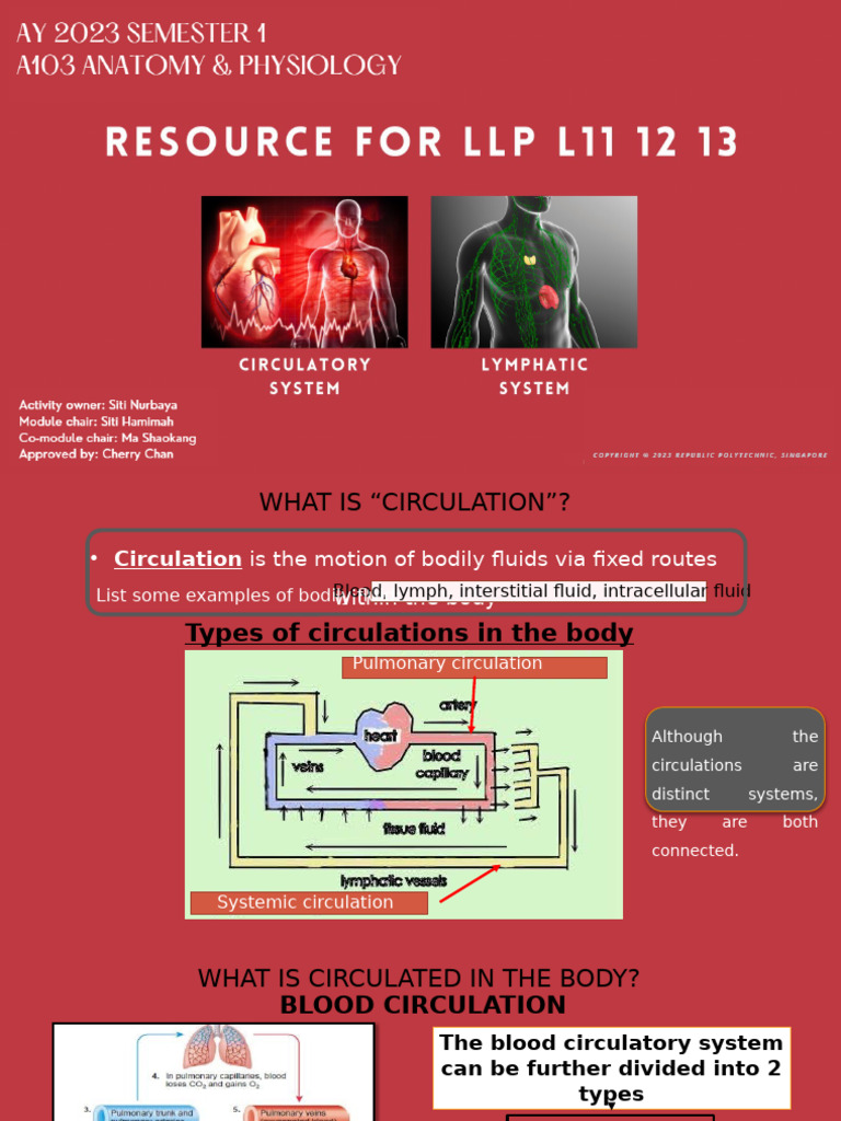 Circulatory and Lymphatic System Resource Package | PDF | Lymph | Heart ...