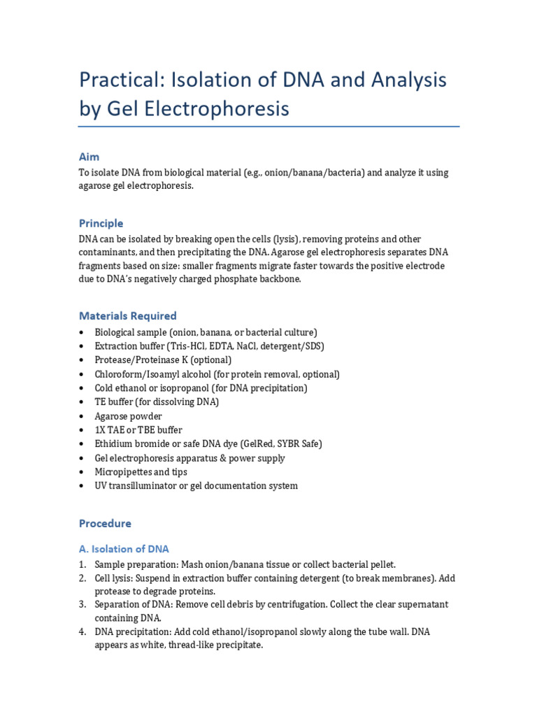 Made - Self Isolation - of - DNA - Gel - Electrophoresis | PDF ...