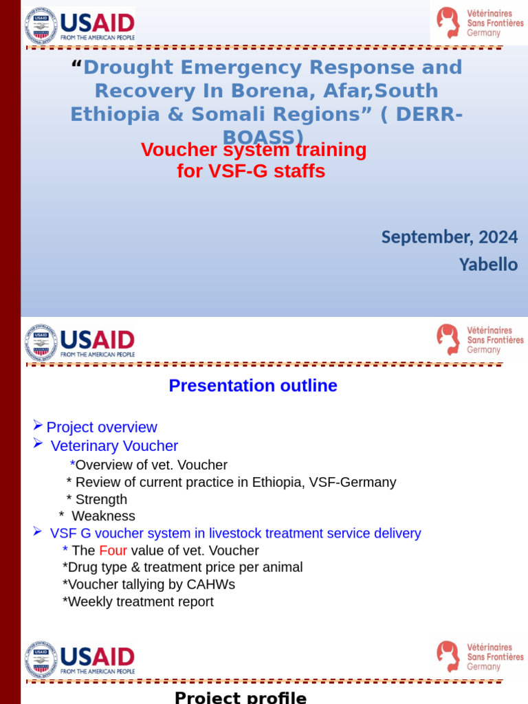 Final -Revised Voucher System Training-BHA Borena | PDF