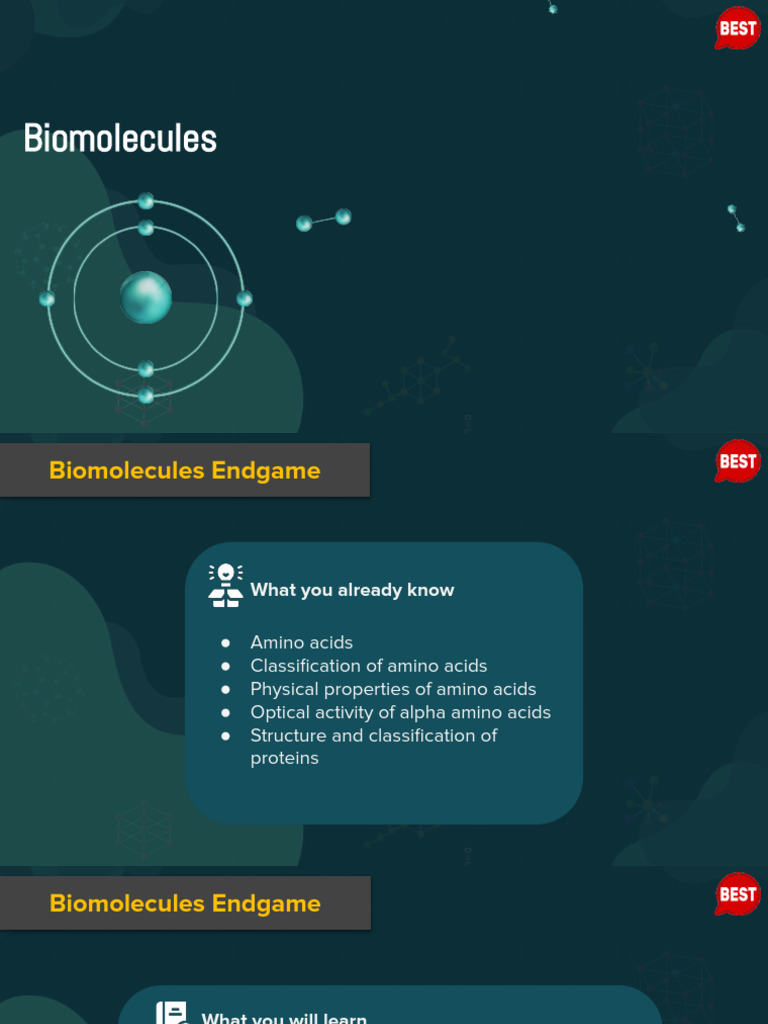 Understanding Biomolecules: Proteins, Enzymes, and Nucleic Acids | PDF ...