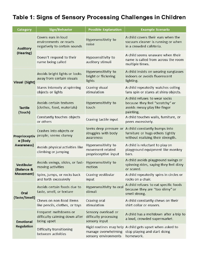 Sensory Processing | PDF