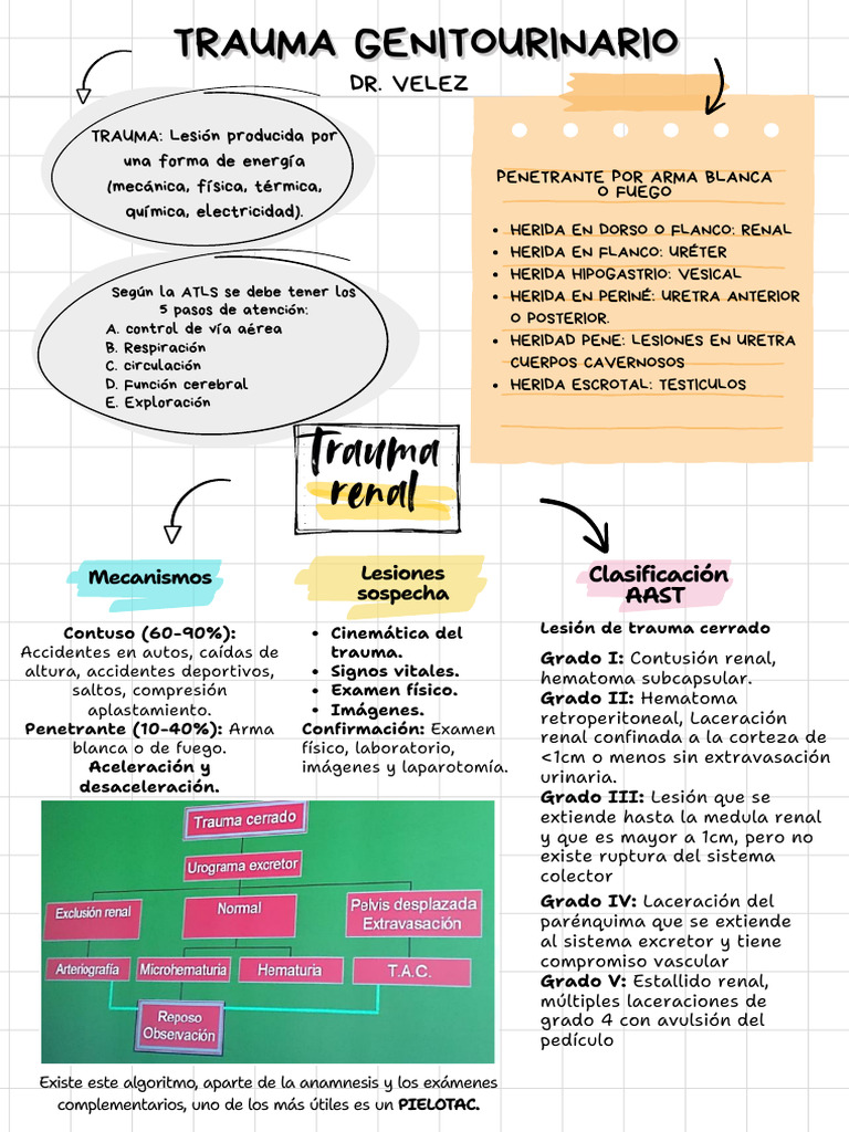 t4 - Trauma Genitourinario | PDF | Especialidades Quirúrgicas ...