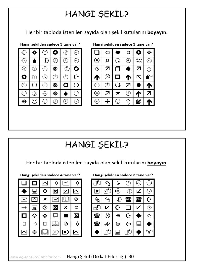 Hangi Sekil Dikkat Etkinligi 30 | PDF