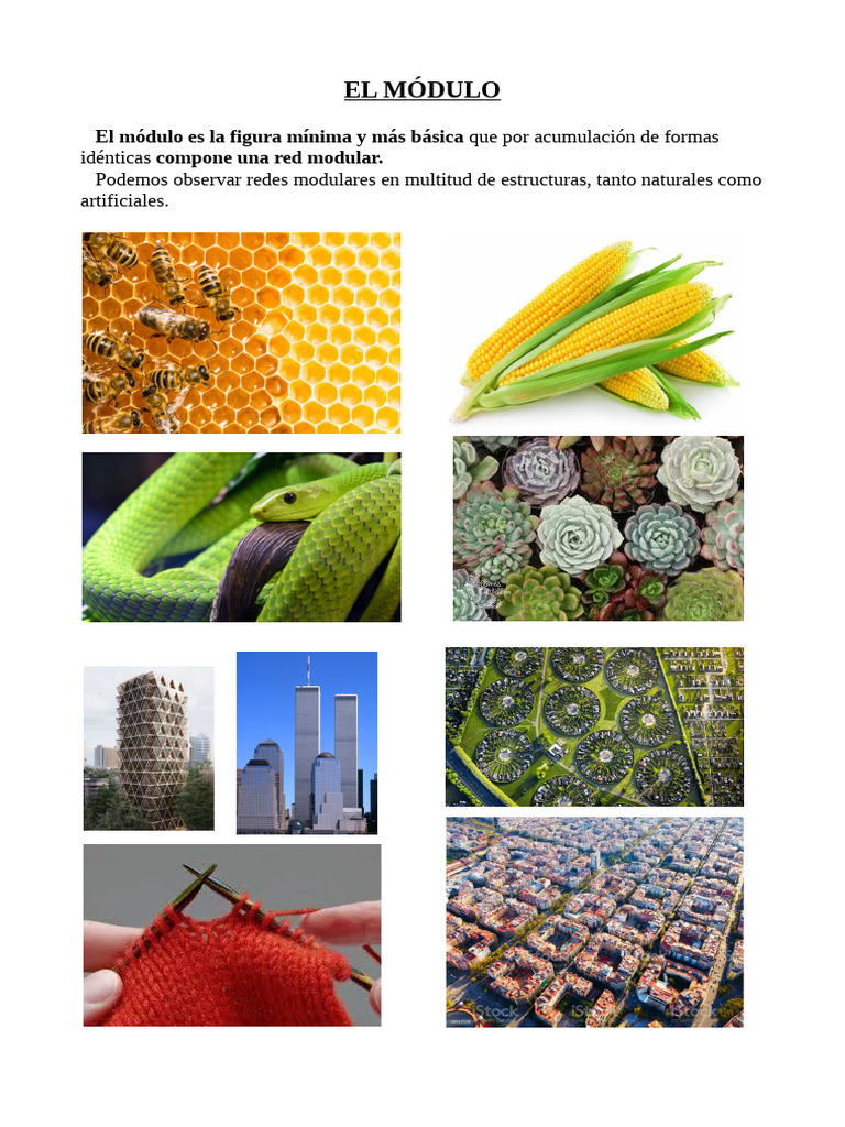 Redes Modulares y Ejemplos de Diseño | PDF