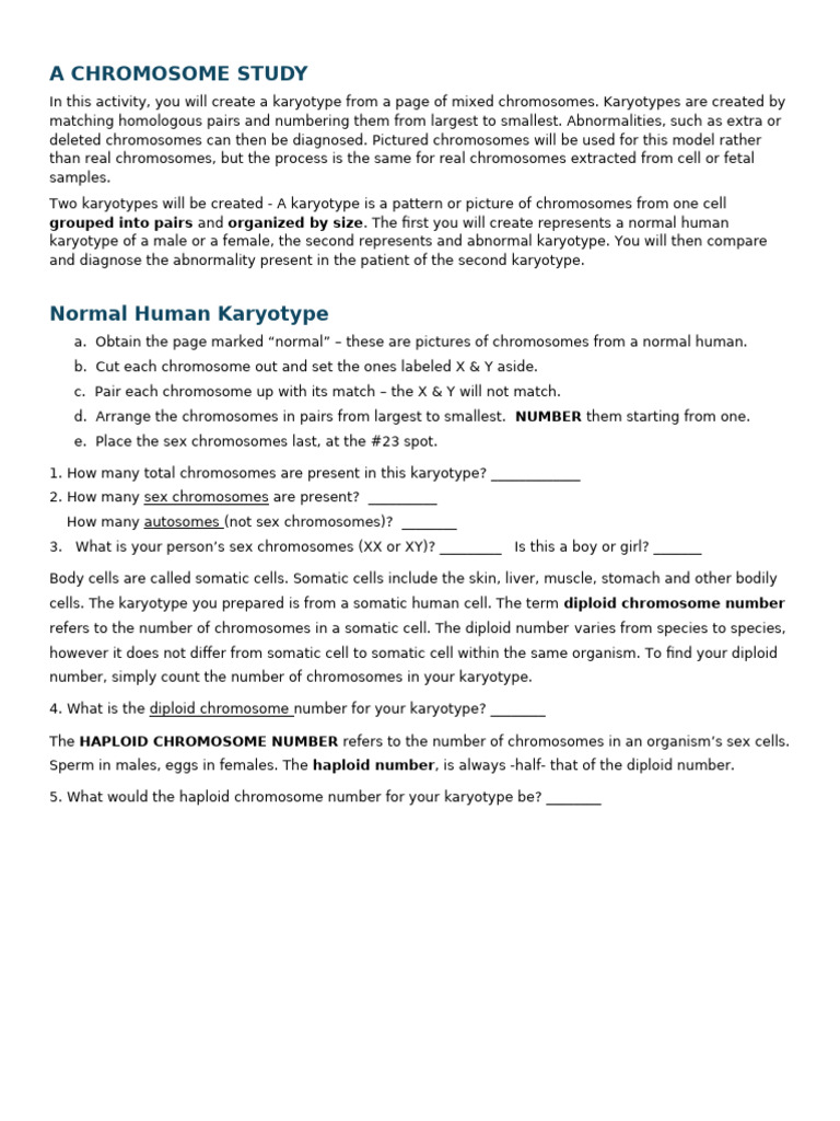 Karyotyping Group Worksheet | PDF