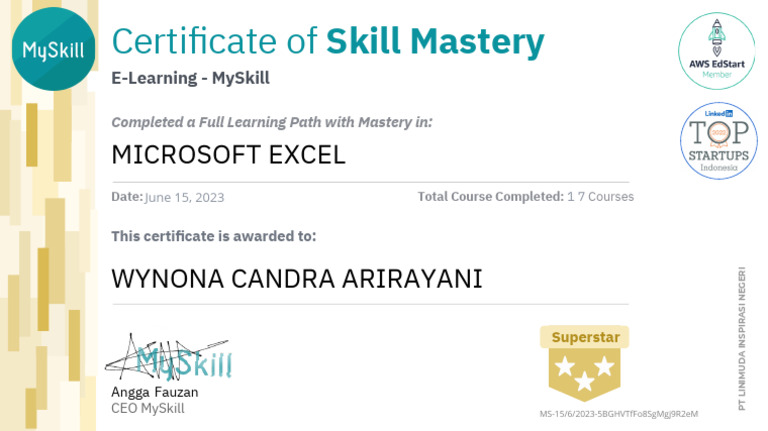 Microsoft Excel Mastery Certificate | PDF