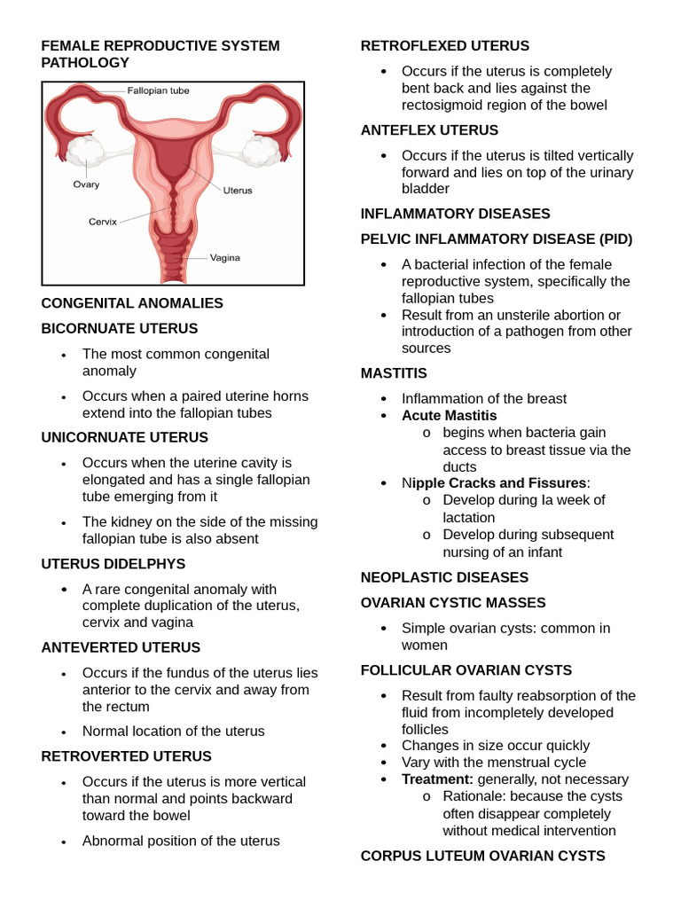 Female Reproductive System Pathologies | PDF | Uterus | Ovary