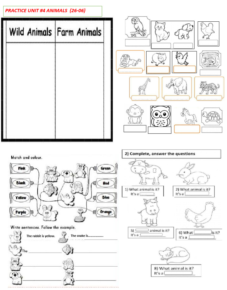 Practice Unit #4 Animals 2025 | PDF