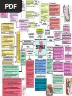 Omentos Mayor y Menor - Anatomía, Ubicación y Función - Kenhub | PDF ...