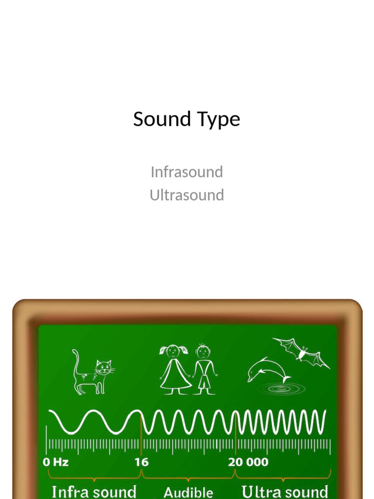 Infrasound and Ultrasound | PDF | Sound | Hearing