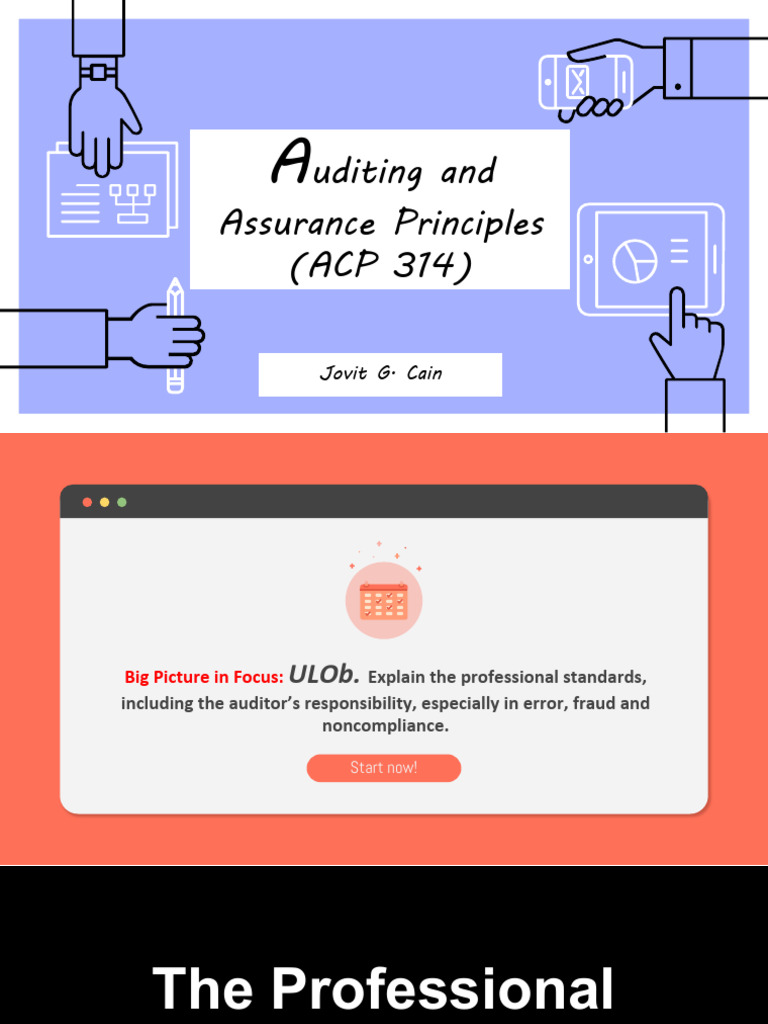 The Professional Standards | PDF | Audit | Accounting