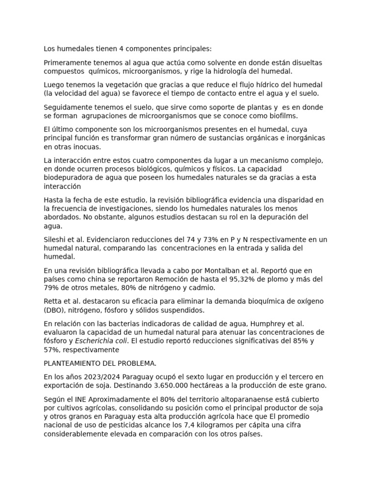 Los Humedales Tienen 4 Componentes Principales | PDF | Humedal | Agua
