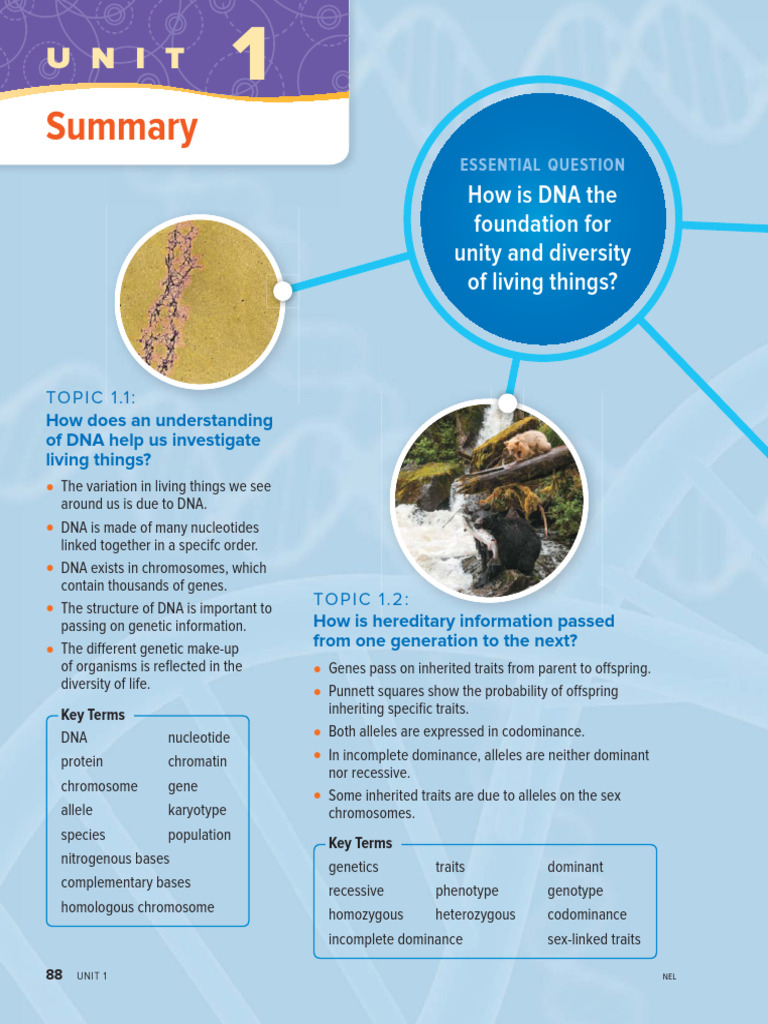Bcsci 10 Unit 1 Summary | PDF | Dominance (Genetics) | Genotype