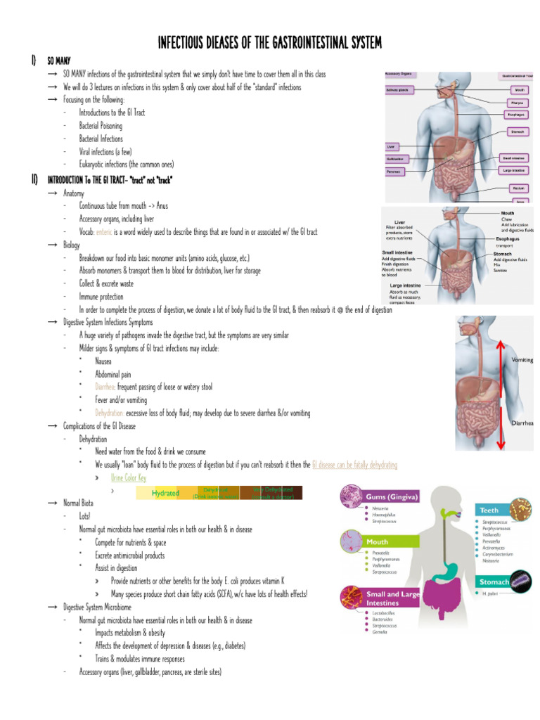 GI | PDF | Gastrointestinal Tract | Diarrhea