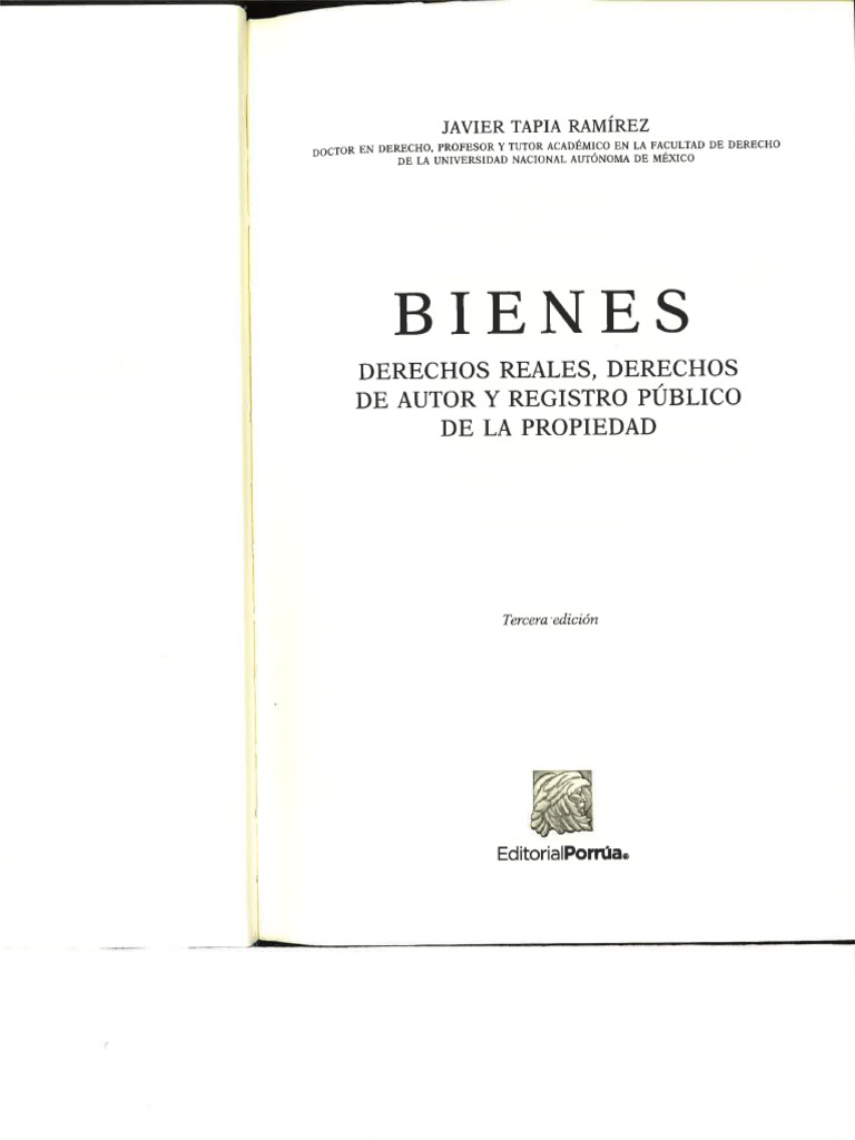 Bienes - Javier Tapia Ramirez | PDF