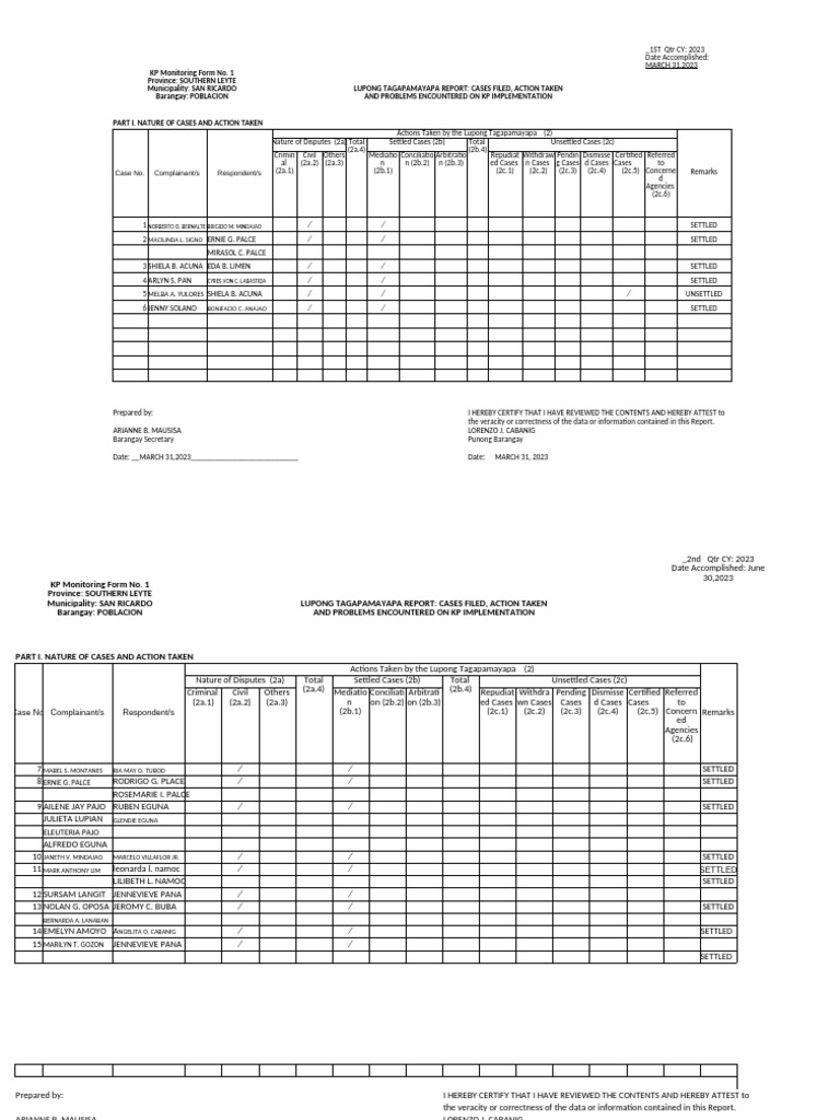 KP Report Brgy Form | PDF