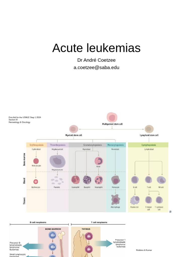 Acute Leukemias. ALL - Aml | PDF | Leukemia | Bone Marrow