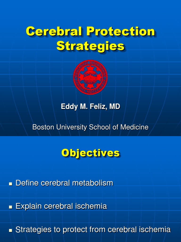 Cerebral Protection Strategies | PDF | Nitric Oxide | Stroke