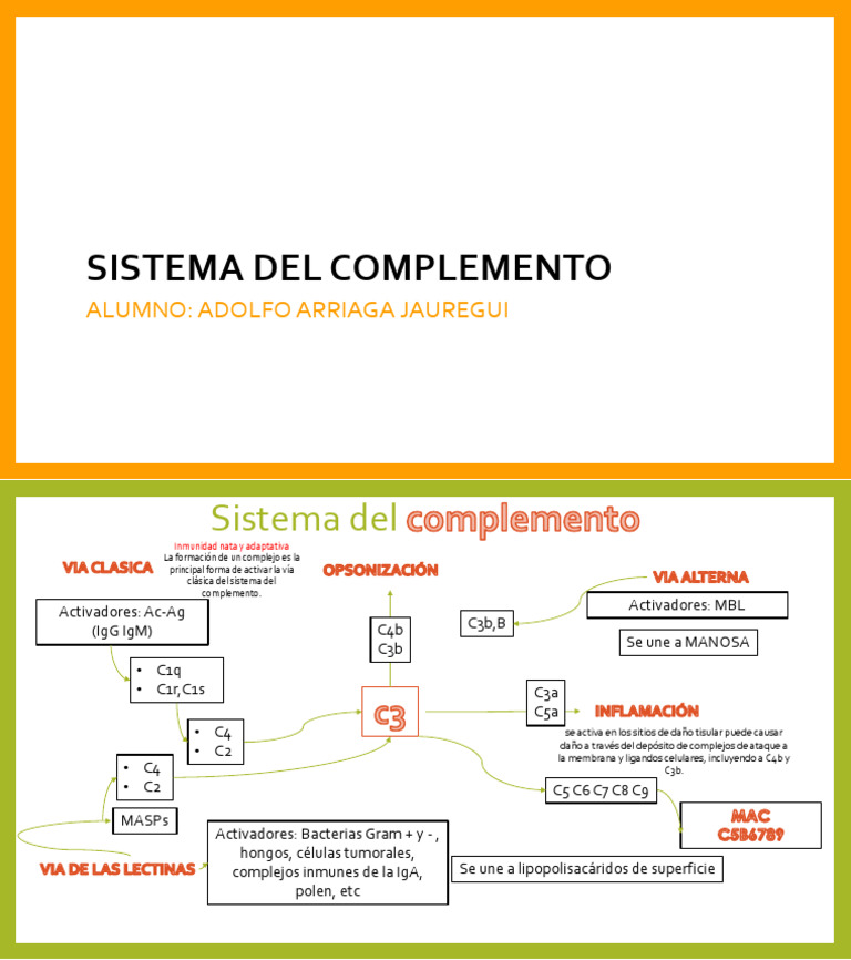 Activación del Sistema del Complemento | PDF