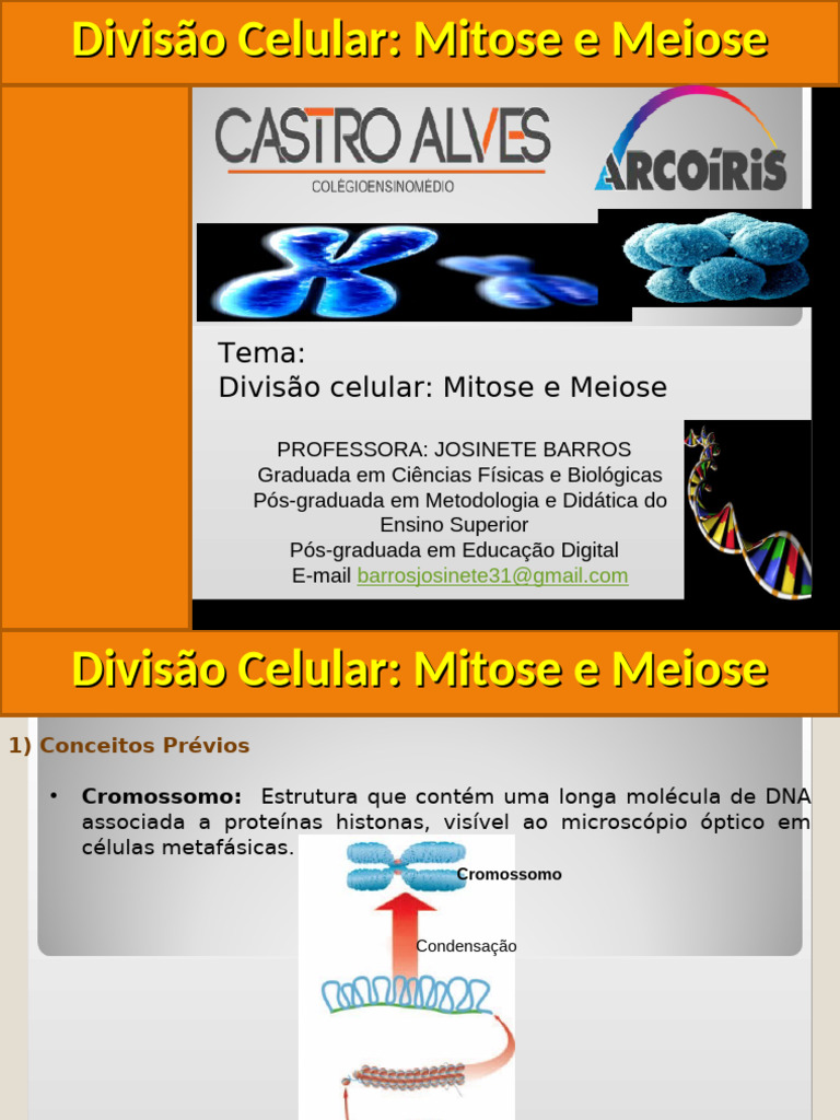 Mitose e Meiose: Divisão Celular Explicada | PDF | Meiose | Mitose