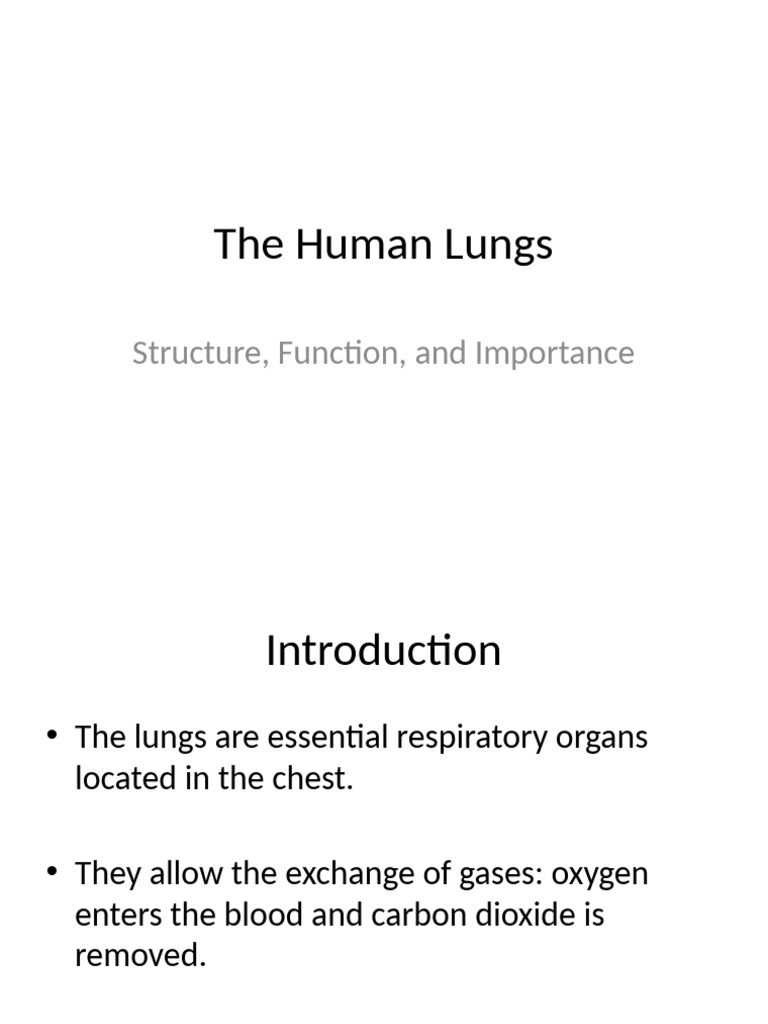Human Lungs: Structure and Function | PDF