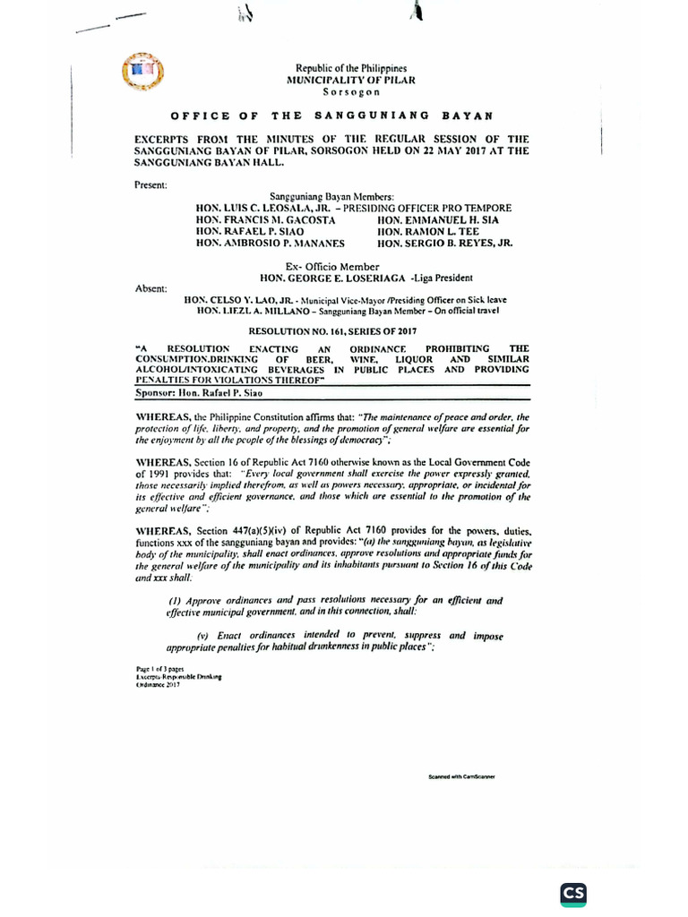 Pilar MPS Resolution | PDF