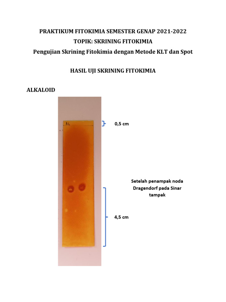 Hasil Uji KLT Dan Spot, GNP 2021-2022 | PDF