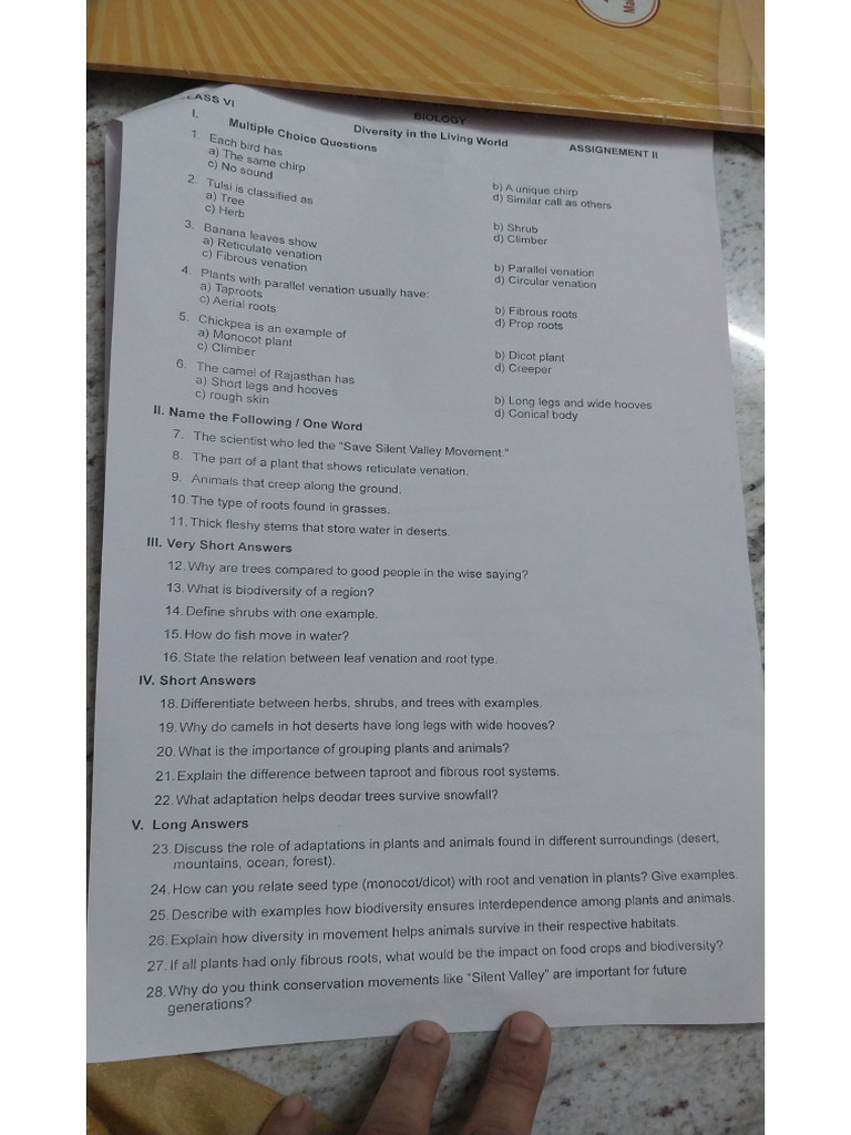 Boys Worksheet | PDF