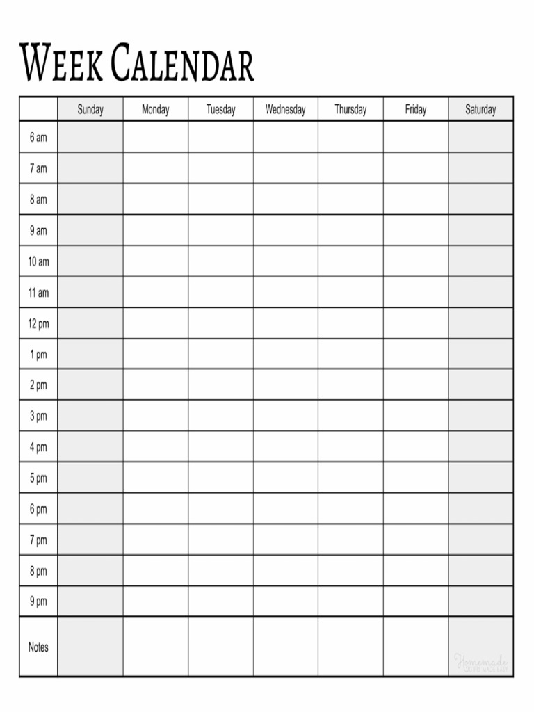 Weekly Calendar Landscape Grid | PDF