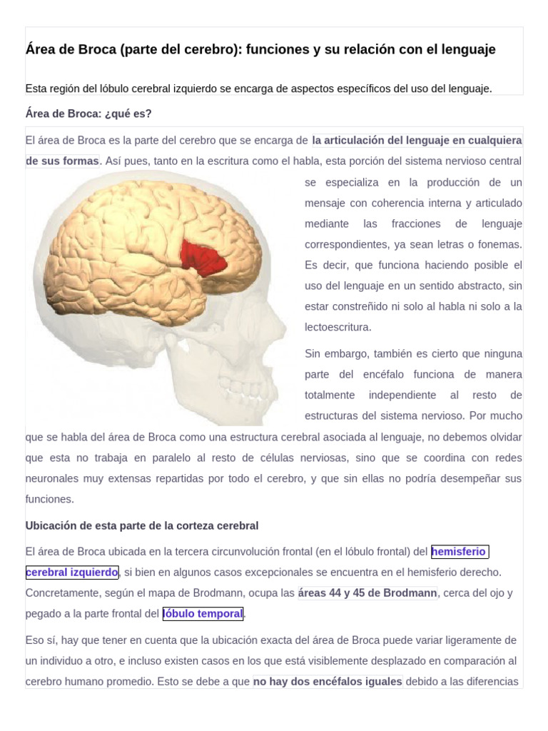 Área de Broca | PDF | Cerebro | Afasia