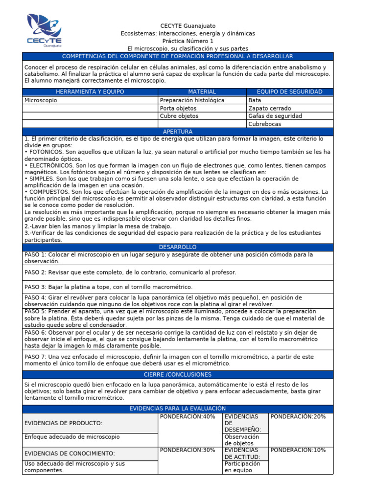 Uso y Manejo del Microscopio en Práctica | PDF | Microscopio | Óptica