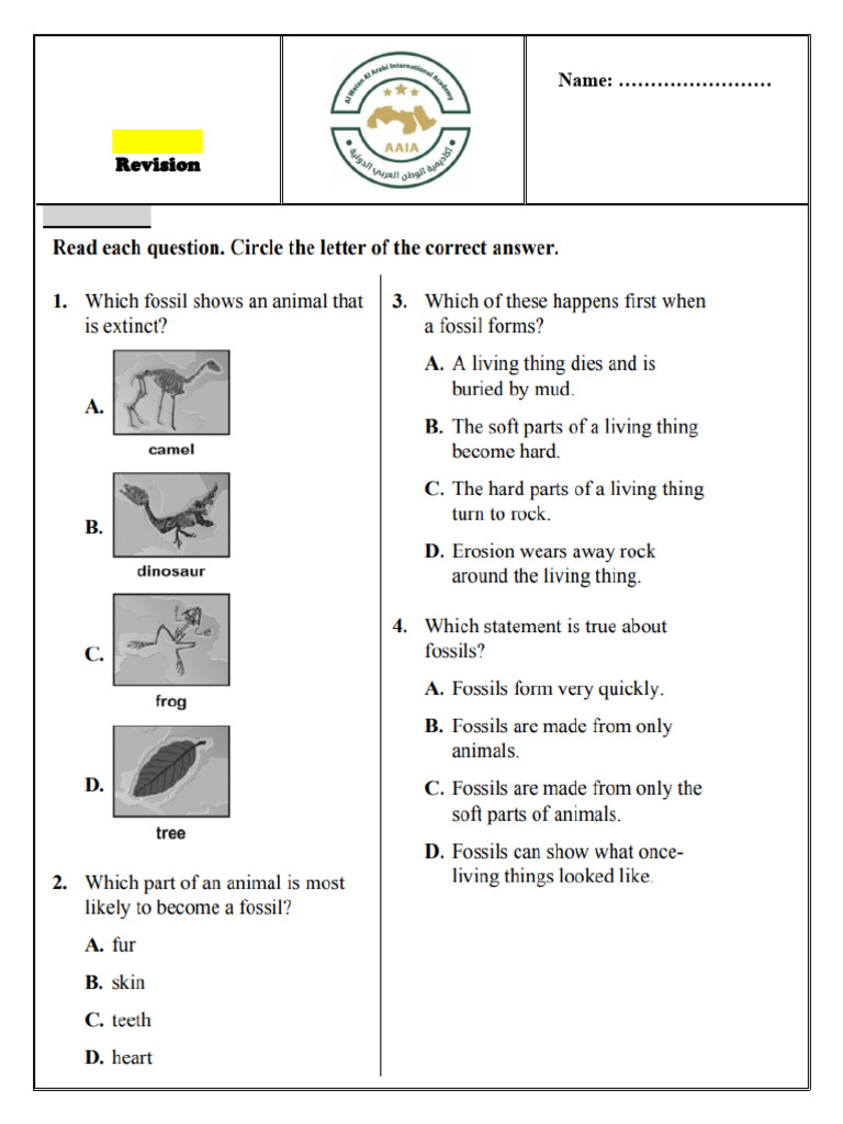 Worksheet Revision Grade 3 | PDF
