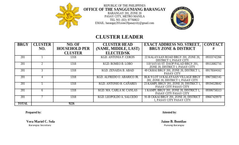 Barangay 201 Cluster Leaders List | PDF