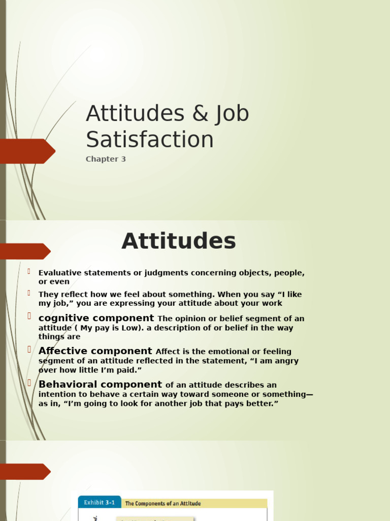 OB Chap 3 | PDF | Job Satisfaction | Attitude (Psychology)