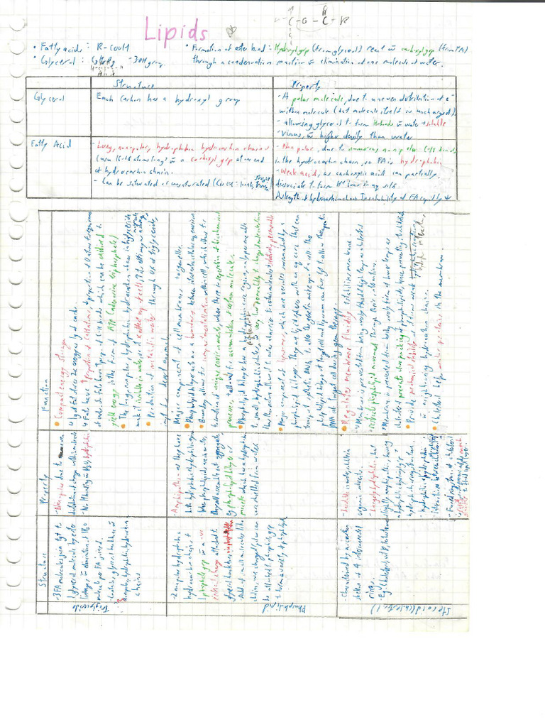 H2 Bio Lipids Notes (SG) | PDF