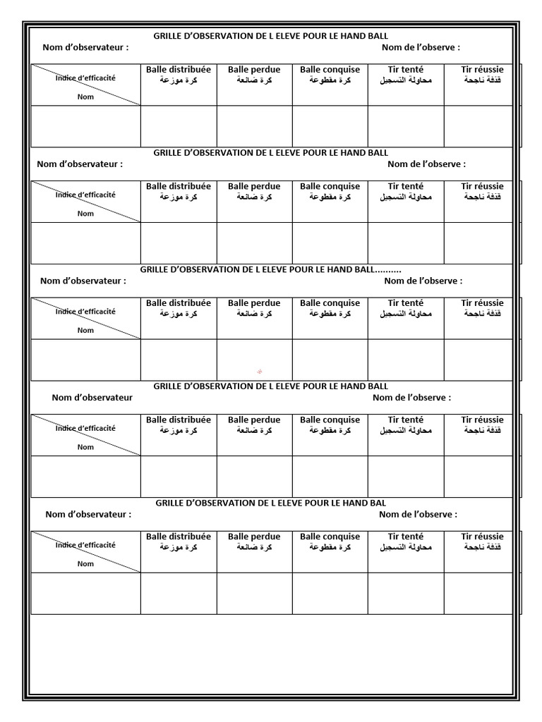 Grille D Observation Ind HB | PDF