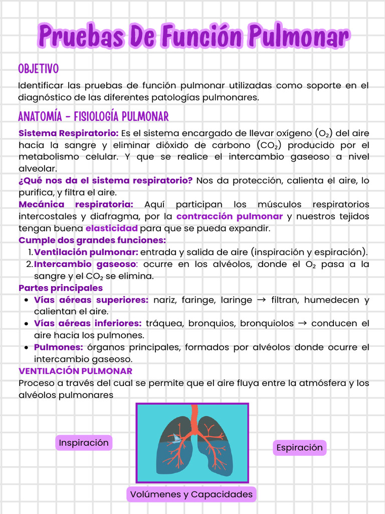 Pruebas de Función Pulmonar | PDF | Sistema respiratorio | Pulmón